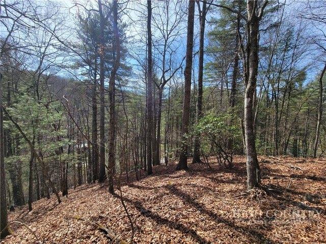 Tbd Creekside Meadows Dr Lot 72, Fleetwood, NC 28626