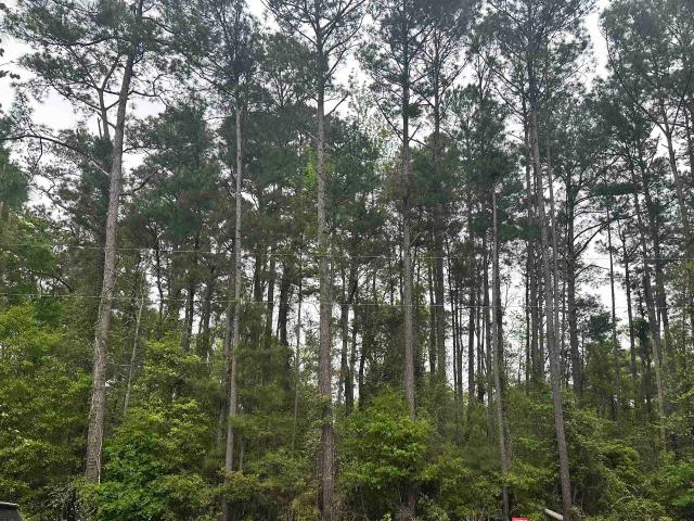 TBD Creekside Dr