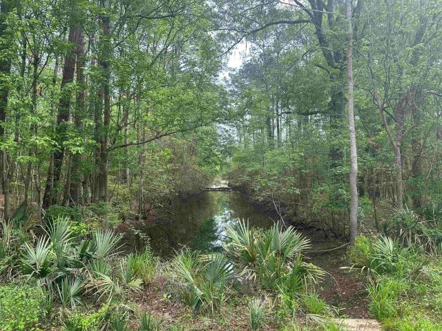 TBD Creekside Dr