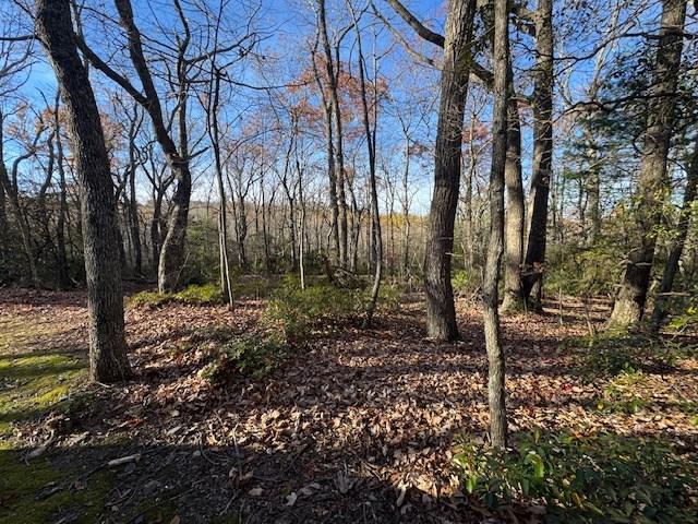 TBD Crooked White Oak Tr