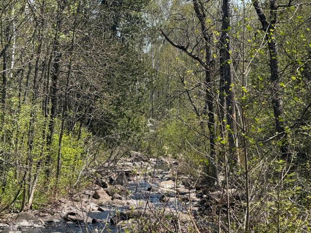 TBD Crown Creek Spur Rd