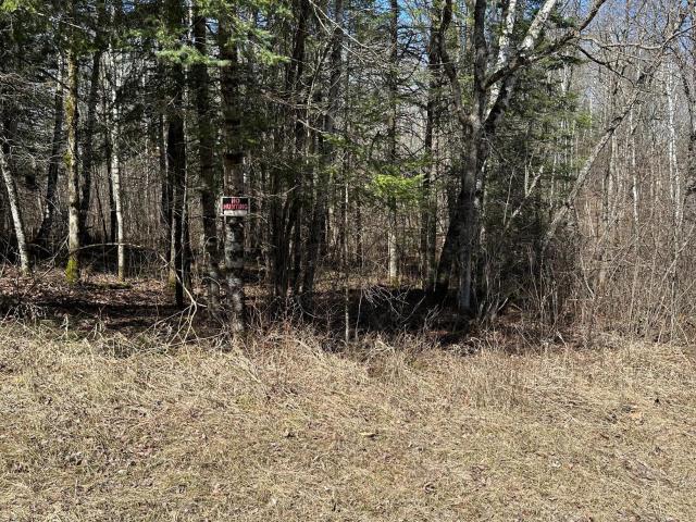 Tbd ct 307