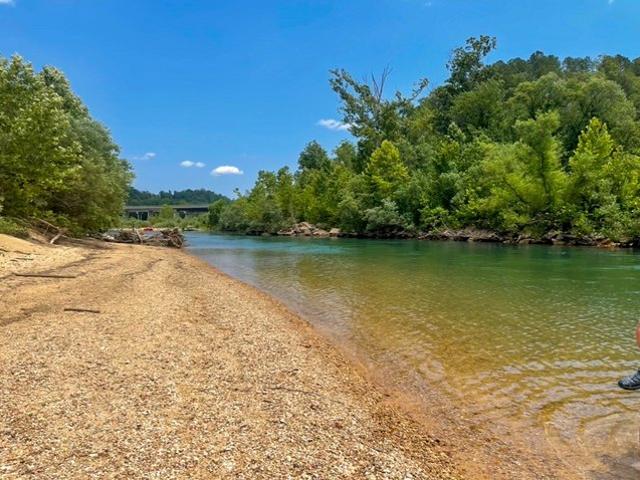 Tbd Current River Rd, Van Buren, MO 63965