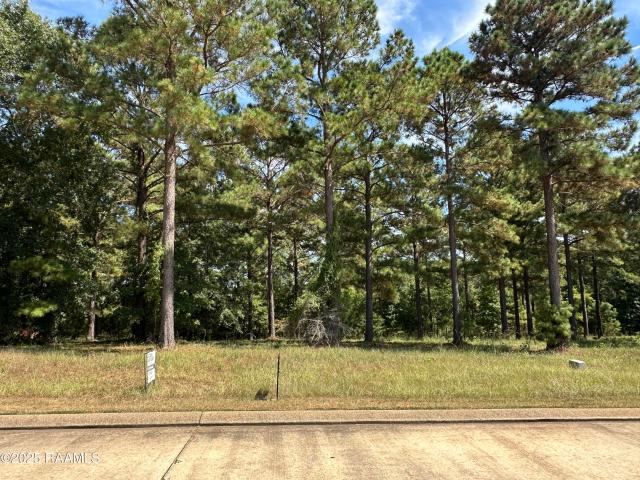 Tbd Cypress Village Dr, Many, LA 71449 | MLS #24008