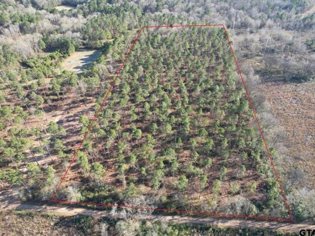 Tbd A County Road 216, Beckville, TX 75631