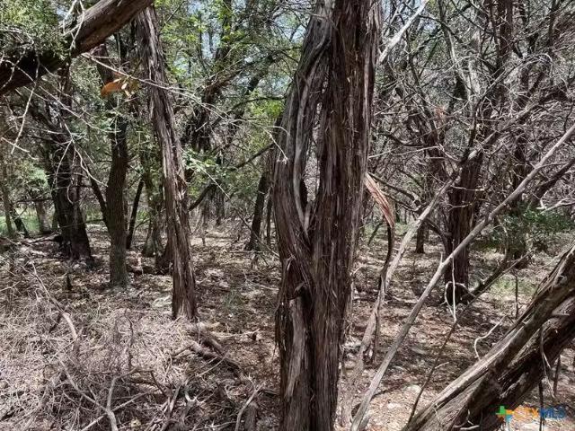 Tbd Antler Trail, Belton, TX 76513 MLS 552831