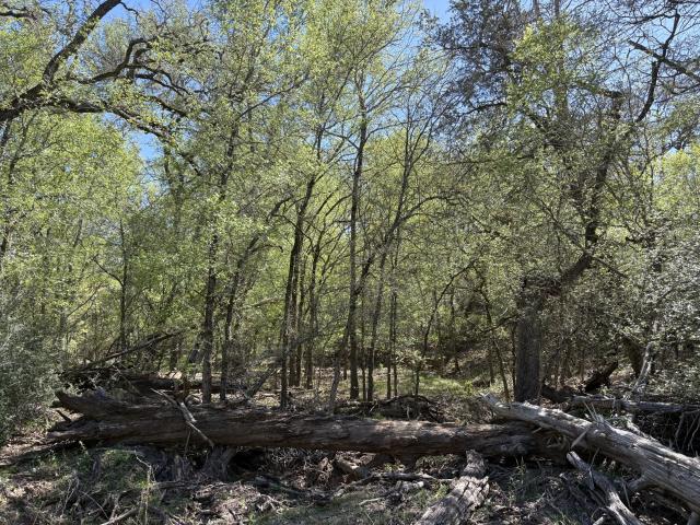 Tbd Anchor Ranch Loop, Flatonia, TX 78941 | MLS #9206
