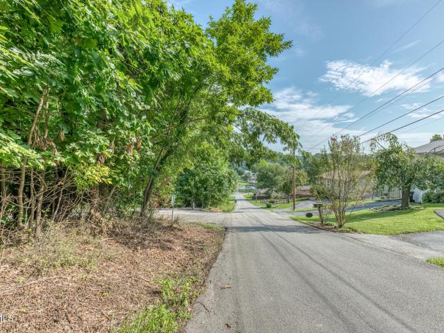 Tbd Angeline Drive