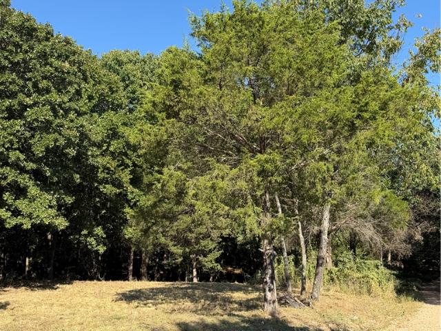 TBD Angus Drive