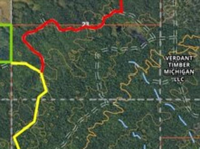 Tbd ac Mud Lake Rd, Lake Linden, Plot For Sale