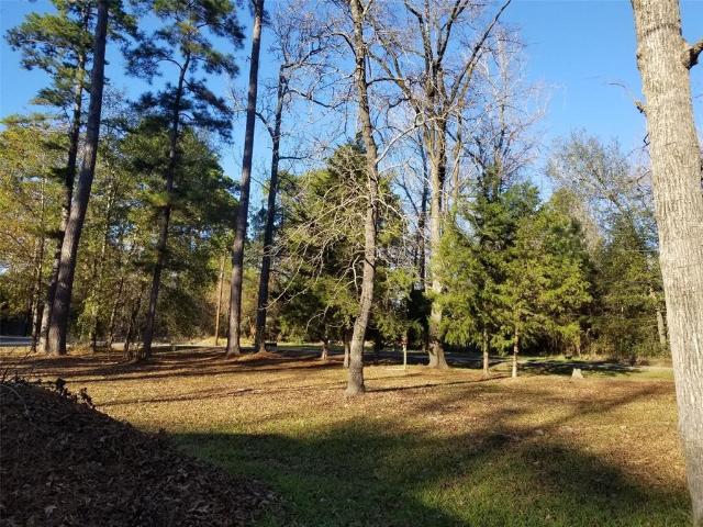 Tbd Acorn, Livingston, TX 77351 | MLS #73872