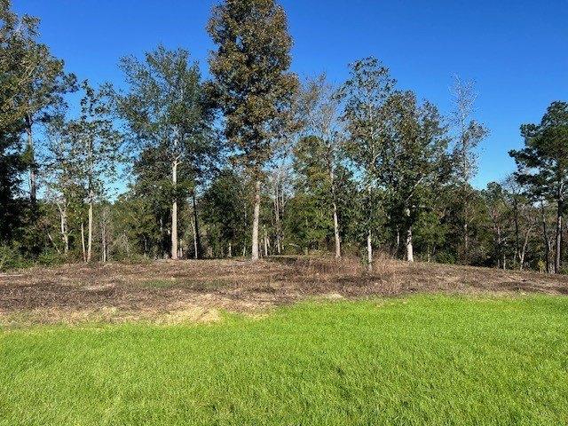 Tbd Addison Rd Lot 26, Livingston, TX 77351