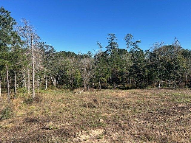 Tbd Addison Rd Lot 27, Livingston, TX 77351
