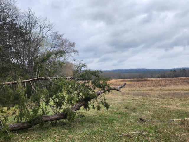 TBD Albert Pike Rd
