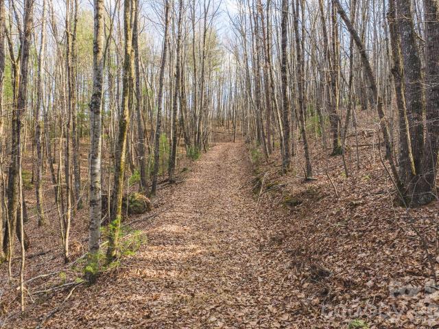 Tbd All Healing Springs Rd, Unit 2, Taylorsville, NC 28681 | Compass