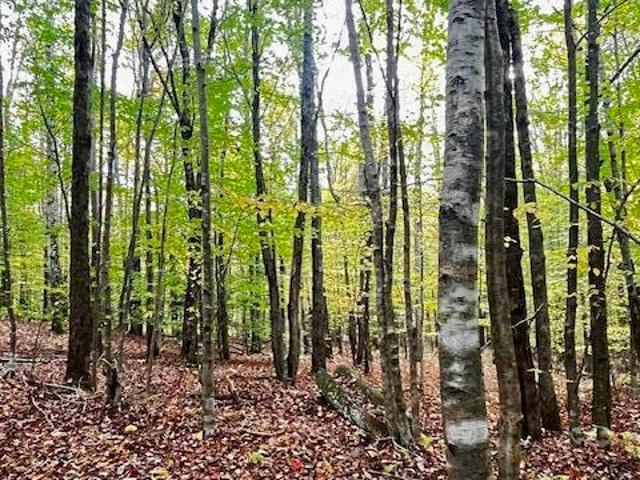 Tbd Alpine Dr, Bovina Center, NY 13740 | MLS #20250 | Compass