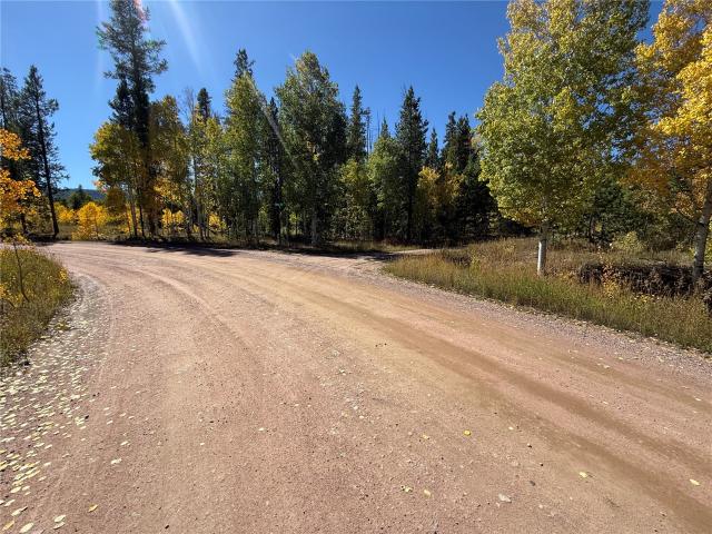 Tbd Appaloosa Way, Oak Creek, CO 80467 | MLS #S1062
