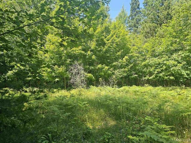 Tbd Applewood Dr Parcel M12, Houghton, MI 49931