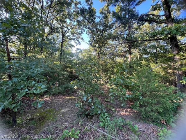 TBD Apple Leaf Lane