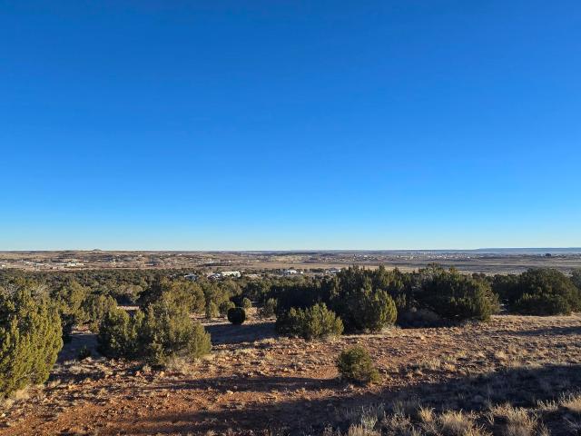 TBD Arena Estates