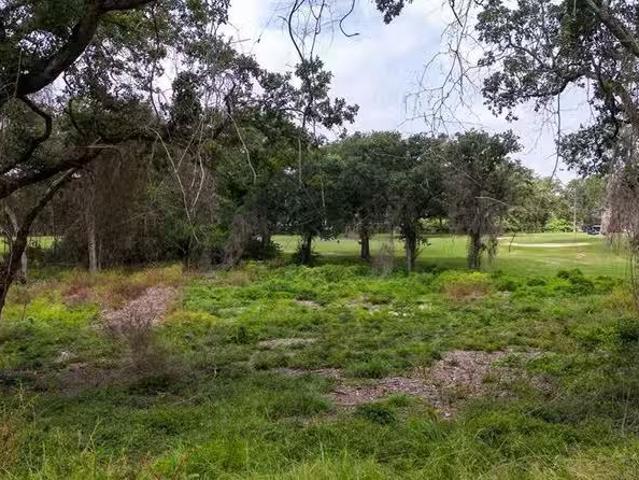 Tbd Arnold Palmer, Hilltop Lakes, TX 77871 MLS 52434041