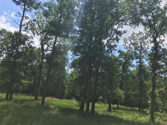 Tbd Arrowhead Trail, Livingston, TX 77351 | MLS #30774