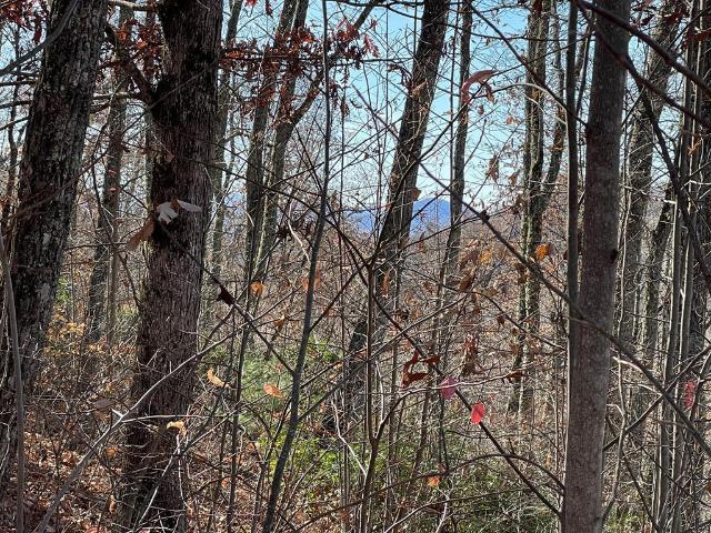 Tbd Ash Branch Cir, Hayesville, NC 28904 | MLS #417459