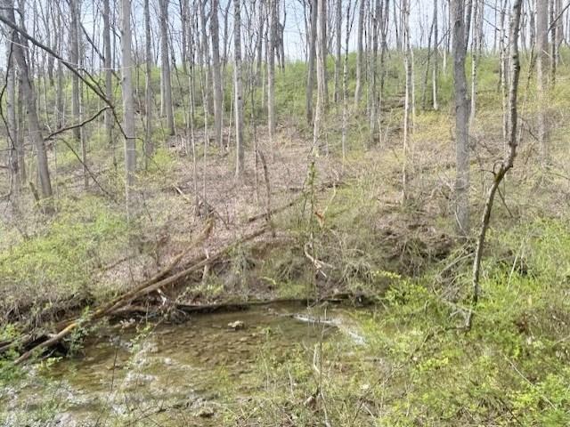 TBD Atkins Mill Rd