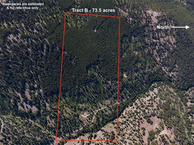 Tbd B Chimney Lakes Rd, Helmville, MT 59843