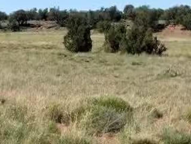 Tbd B #, Concho, AZ 85924 MLS 6756476