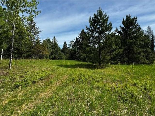 Tbd B Highway 169, Virginia, MN 55792