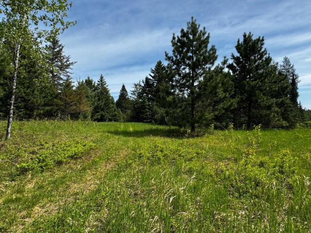 Tbd b hwy 169