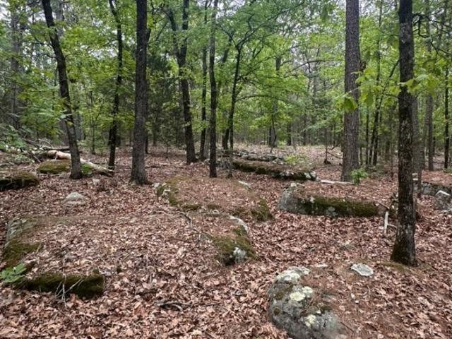 TBD Box Springs Road