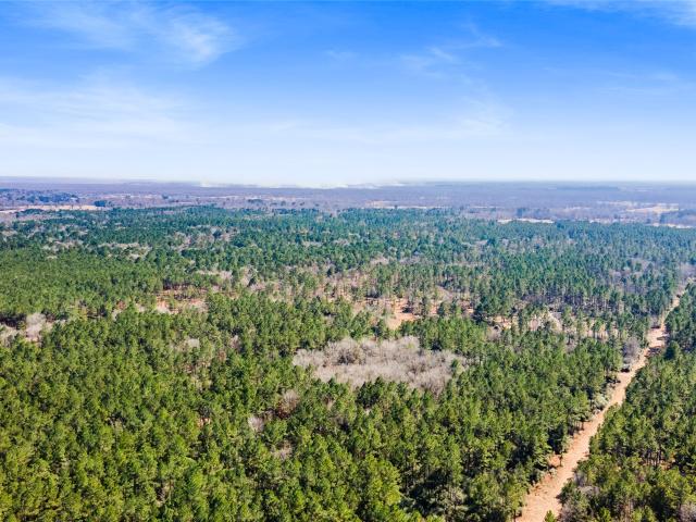 Tbd Bo Brown, Trinity, TX 75862 | MLS #45677