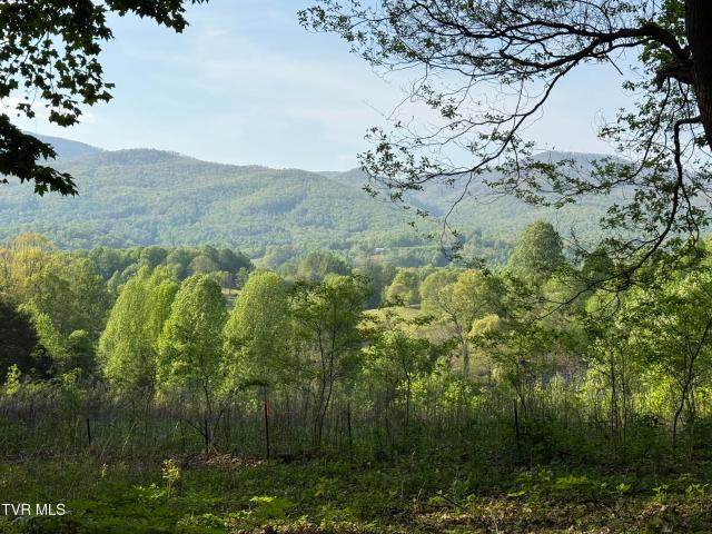 Tbd Bobs Hollow Road Lot 4