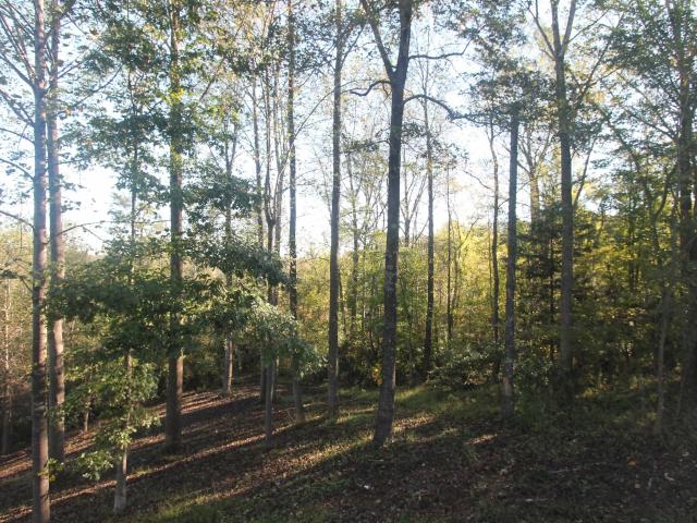 Tbd batesville rd