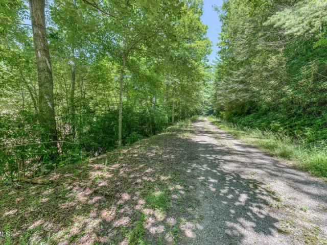 Tbd Bailey Hollow Road