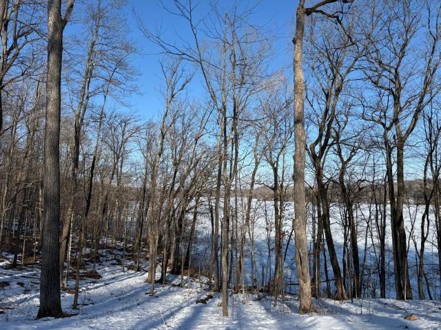 TBD Balsam Drive