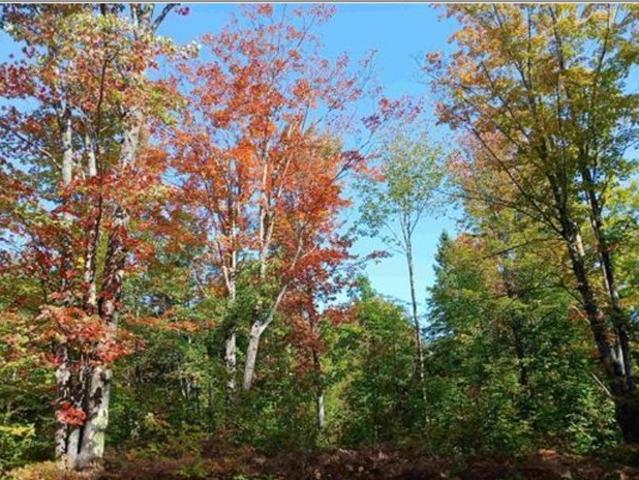 Tbd Baltic Onkalos Corner Rd, South Range, MI 49963