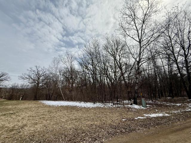 Tbd Basswood Dr, Sauk Centre, MN 56378 | MLS #7050 | Compass