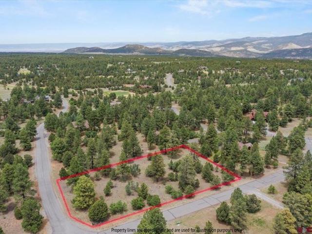 Tbd Bear Cub Dr Lot 308, Ridgway, CO 81432