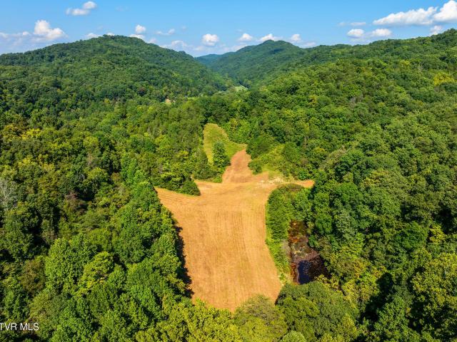 Tbd Bear Hollow