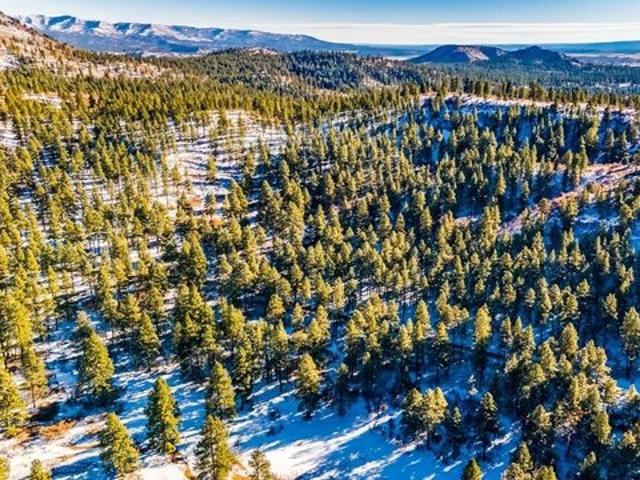 Tbd Beaver Creek Ranch Dr Lot 13, Bayfield, CO 81122