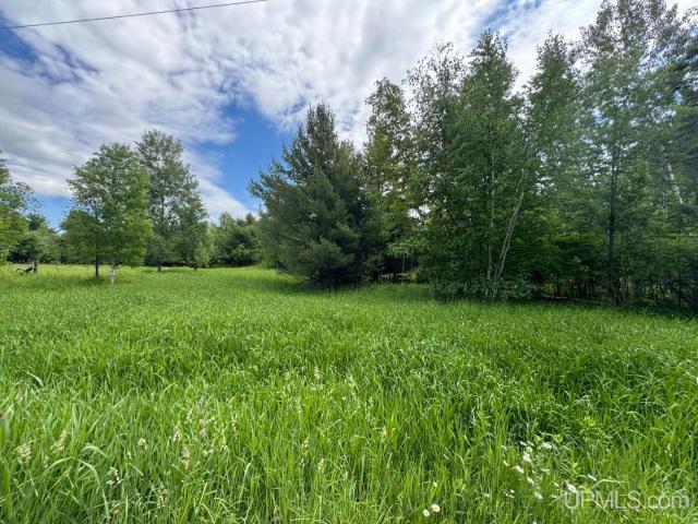 TBD Bellaire Road