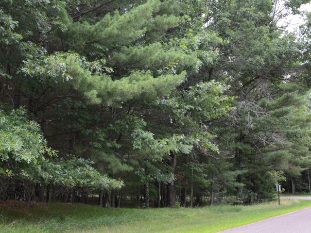 TBD Benson Road