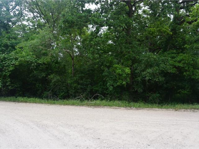 TBD Berry Creek Drive