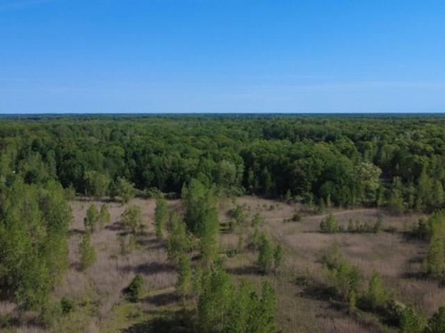 Tbd Big Hand Rd, Columbus, MI 48063