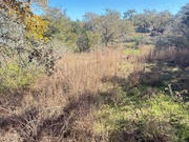 Tbd Birch Hill Ln, Somerville, TX 77879 | MLS #25013