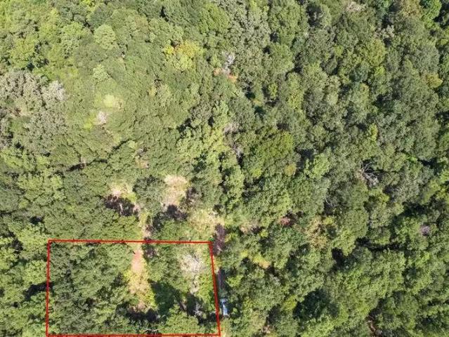 Tbd Birch Ln, Plantersville, TX 77363 MLS 17535228