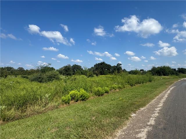 Tbd Bishop, Iola, TX 77861 | MLS #25009